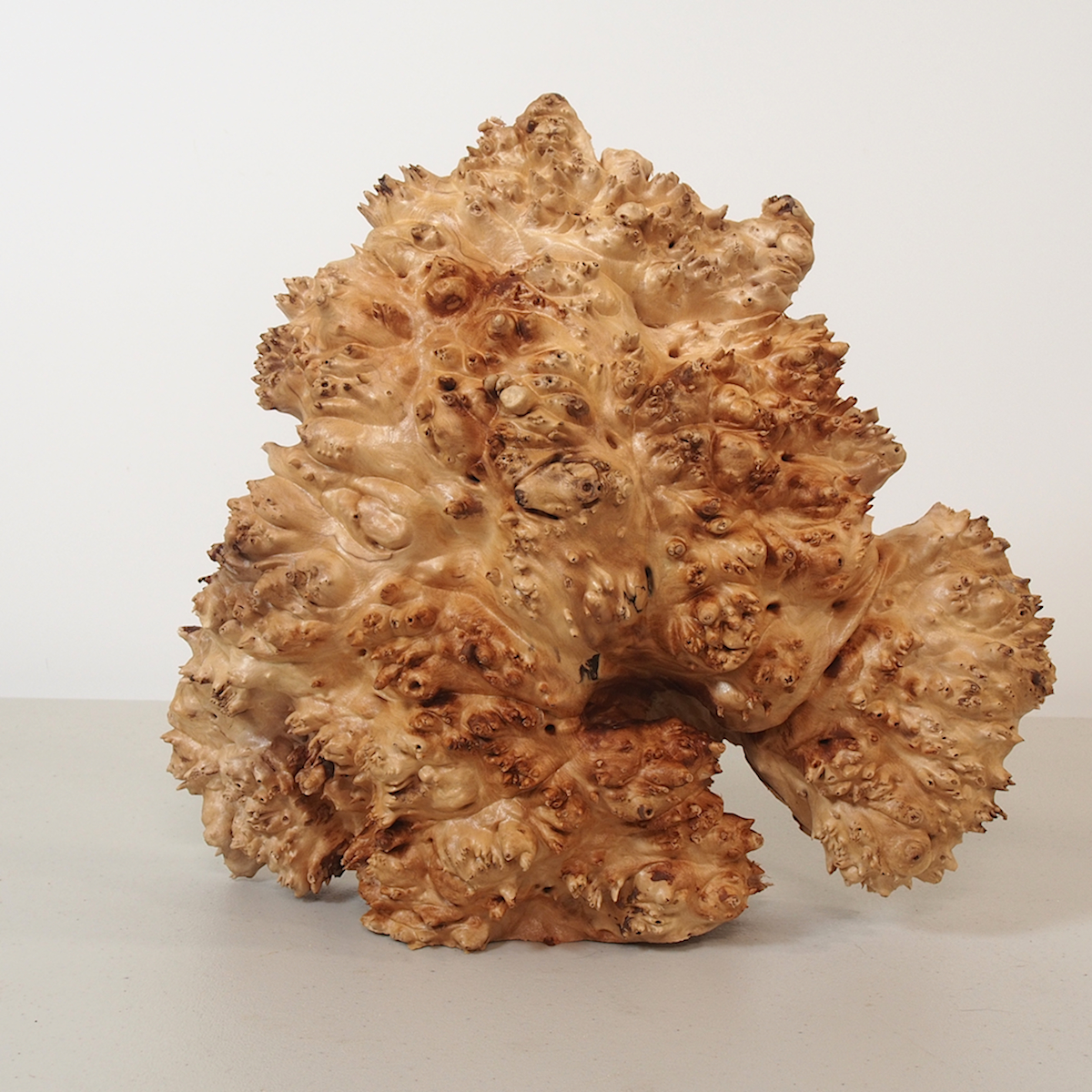 Maple Burl Cap 11x10x3 – Myrtlewood Gallery
