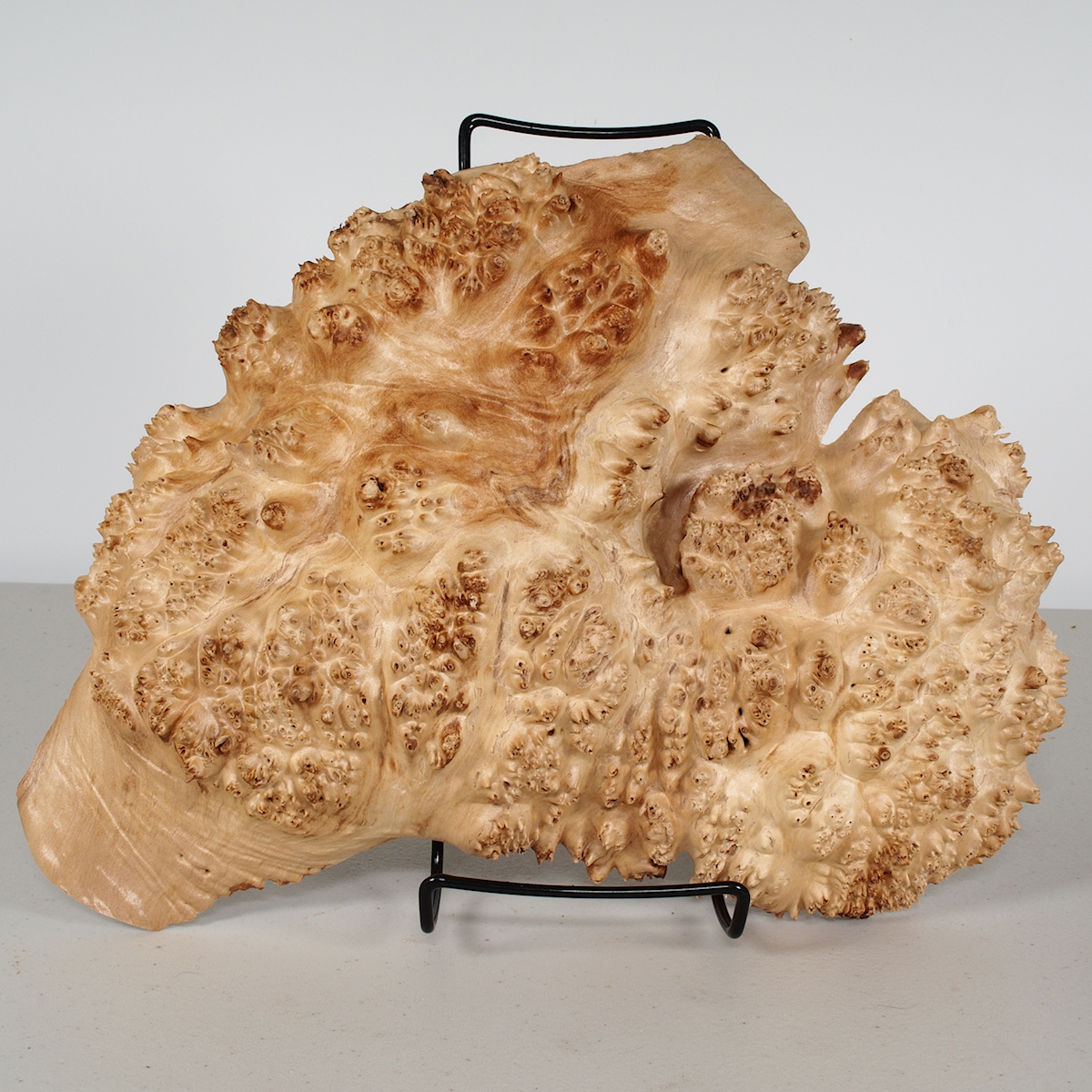 Maple Burl Cap 11x8x2 – Myrtlewood Gallery